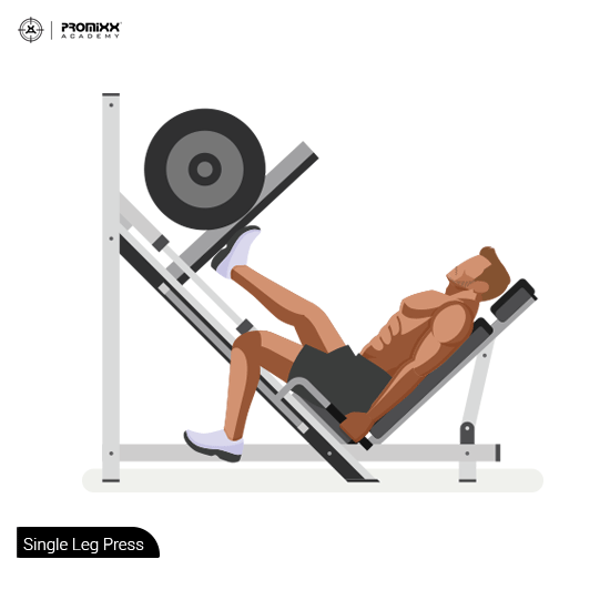 Promixx Leg Workout: A Guide to Toned Legs