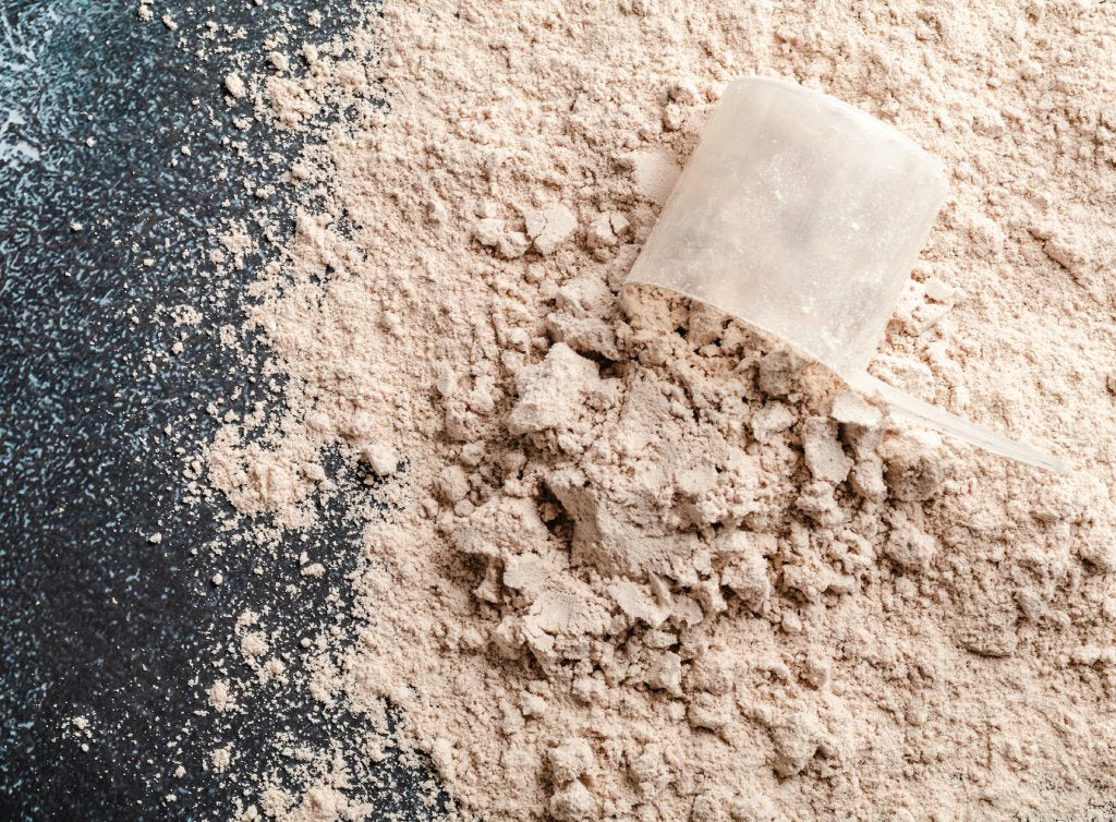 A Comprehensive Guide to Storing Your Protein Powder, And Knowing When ...