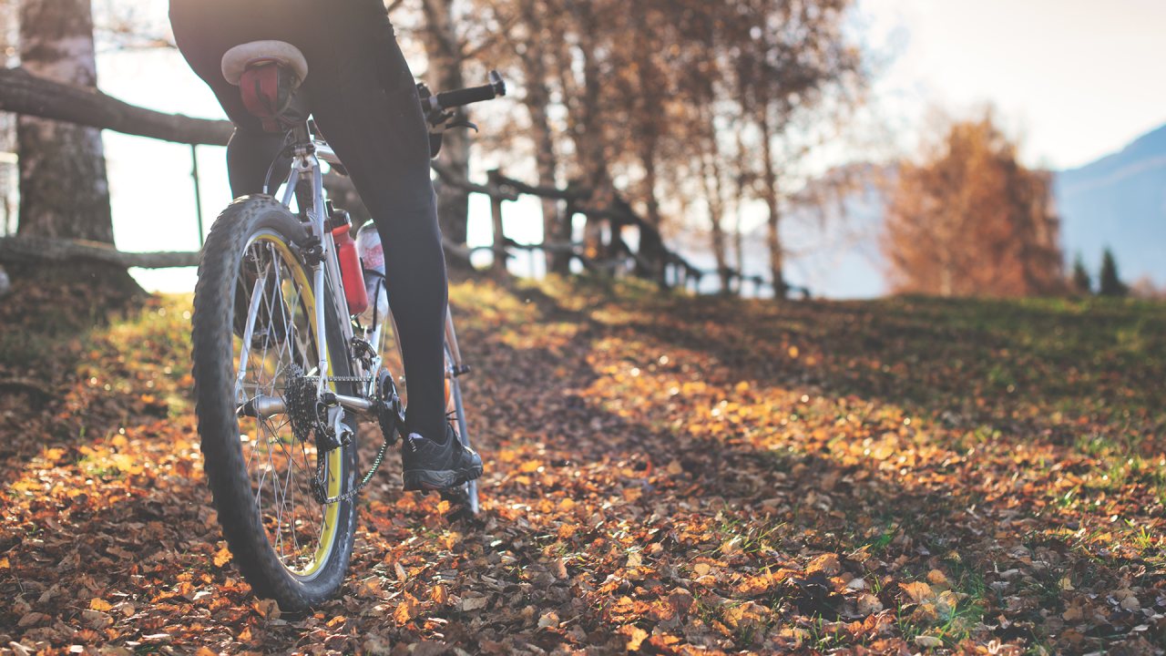 Reflect, Recharge, and Renew: Closing Out Stress Awareness Month with a ...